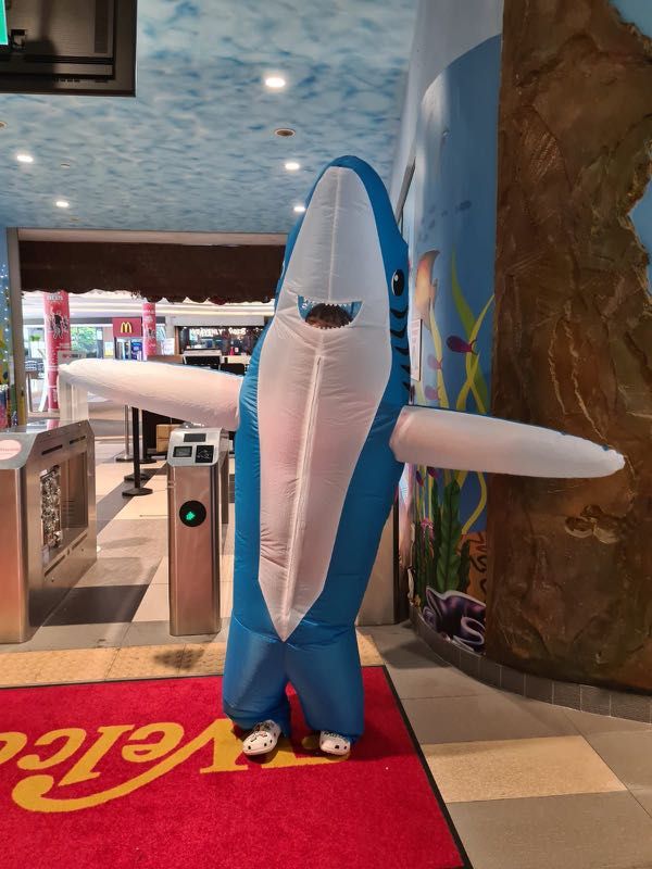 Shark mascot, Hobbies & Toys, Stationery & Craft, Occasions & Party ...
