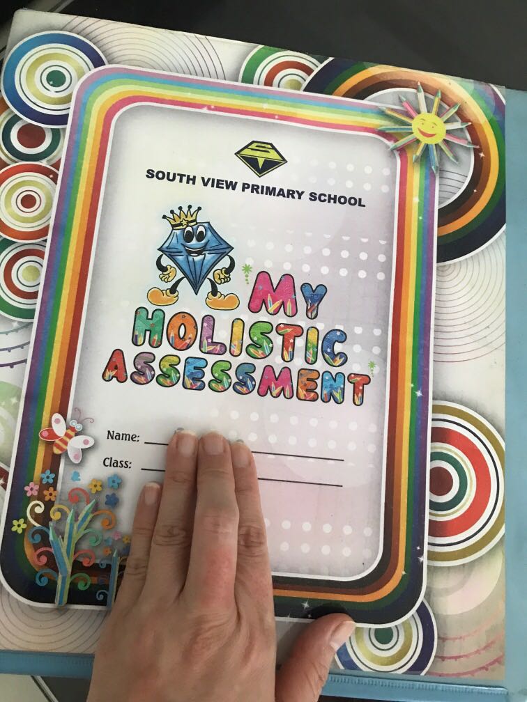 South View Primary School Holistic File, Hobbies & Toys, Stationery ...