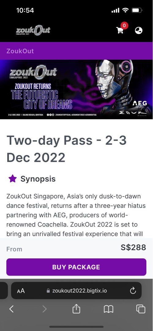ZOUKOUT $188 TWO-Day pass 1- ticket, Tickets & Vouchers, Event Tickets ...