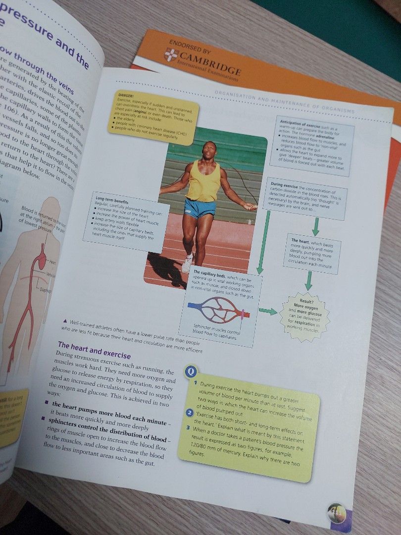 IGCSE Biology textbook revision guide, Hobbies & Toys, Books ...