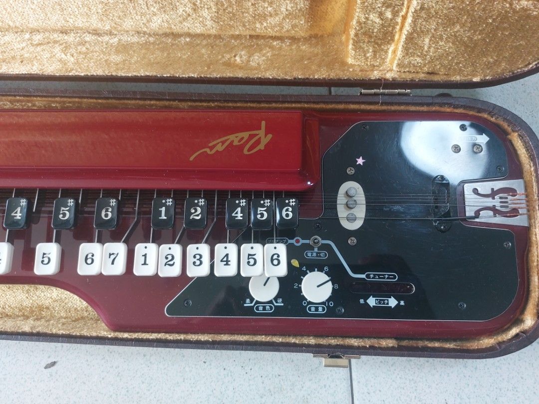 Taishogoto instrument, Hobbies & Toys, Music & Media, Musical ...