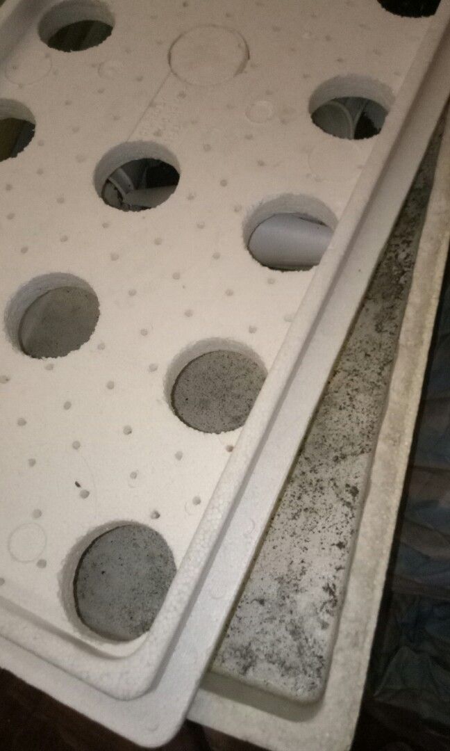 Tuna Box (Hydroponics), Furniture & Home Living, Gardening, Pots ...