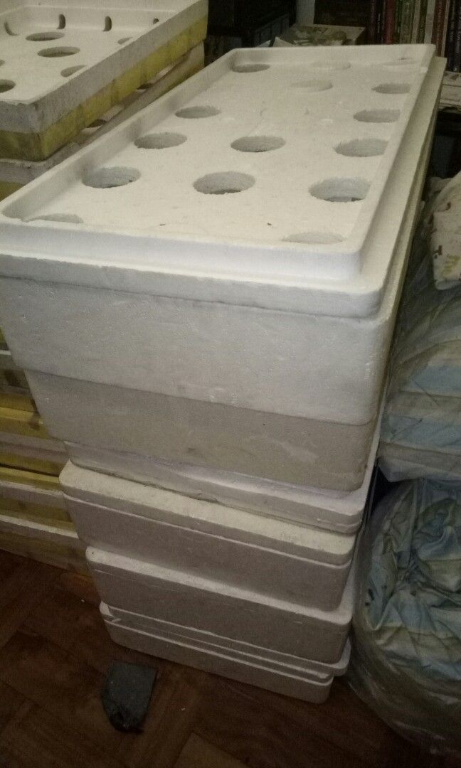 Tuna Box (Hydroponics), Furniture & Home Living, Gardening, Pots ...