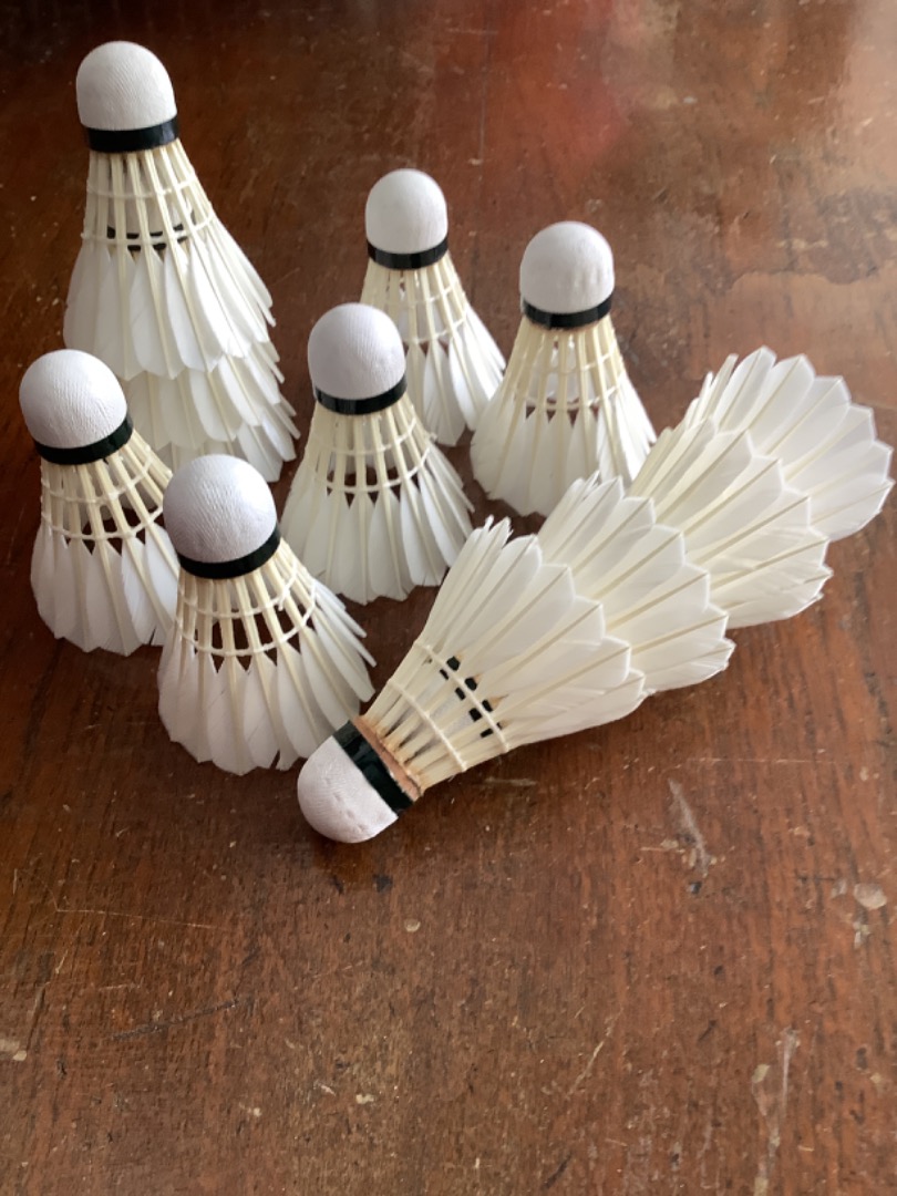 Used RSL SUPREME shuttlecock., Everything Else on Carousell