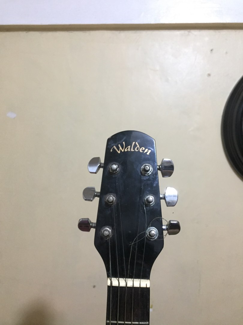 Acoustic Guitar | Walden D350, Hobbies & Toys, Music & Media, Musical ...