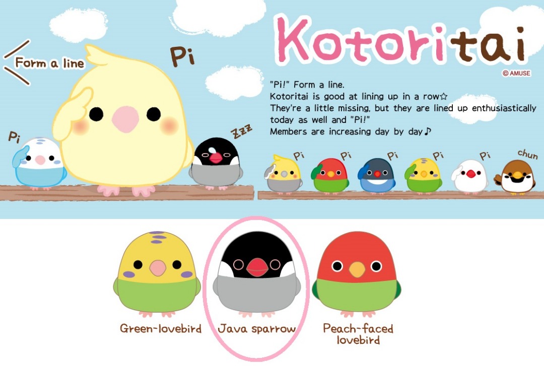 AMUSE Java Sparrow Bird (Kotoritai), Hobbies & Toys, Toys & Games on ...