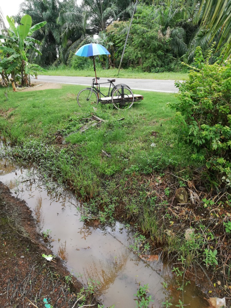 Beca Tua, Sports Equipment, Bicycles & Parts, Bicycles on Carousell