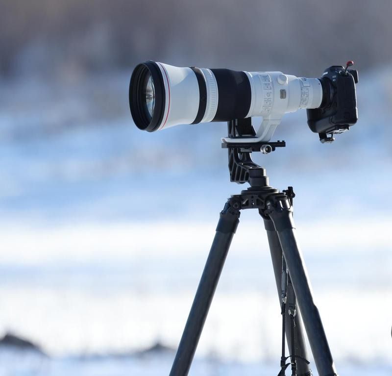 Canon EF 600mm f/4L IS III USM Lens -White, Photography, Lens & Kits on ...