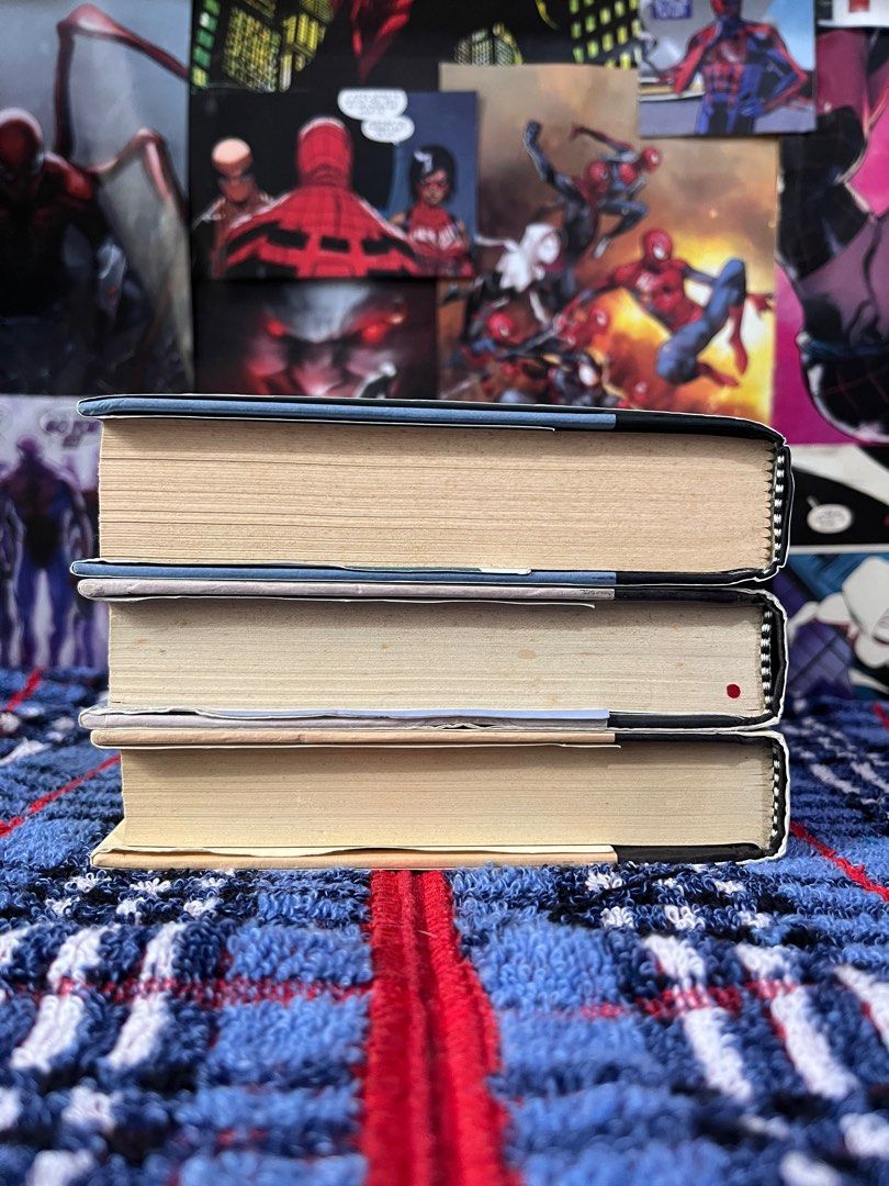 Everyday Trilogy by David Levithan, Hobbies & Toys, Books & Magazines ...