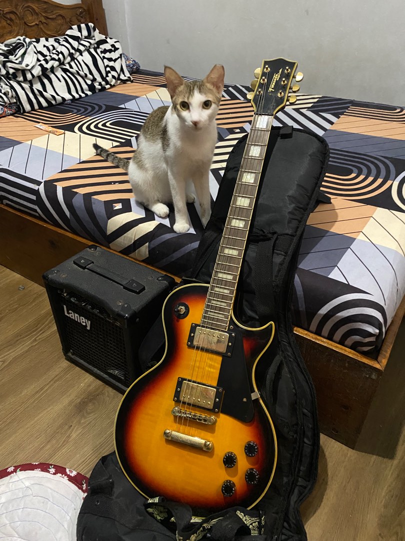 Fernando Electric Guitar (Les Paul Style - Sunburst) with Laney ...