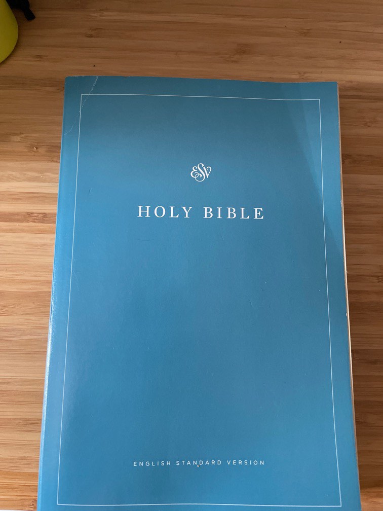 Holy bibble, Hobbies & Toys, Books & Magazines, Religion Books on Carousell