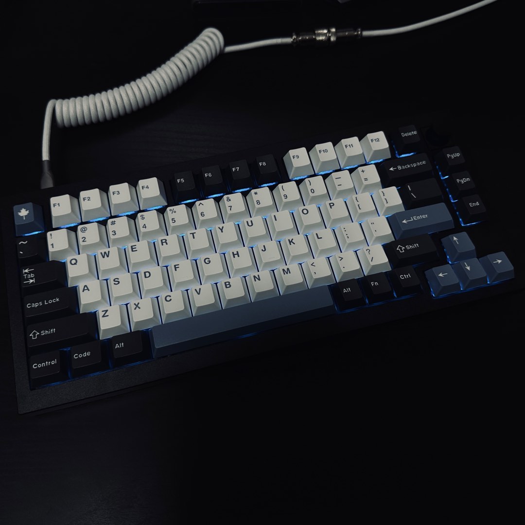 Keychron Q1 ttc quick silver switch, Computers & Tech, Parts ...