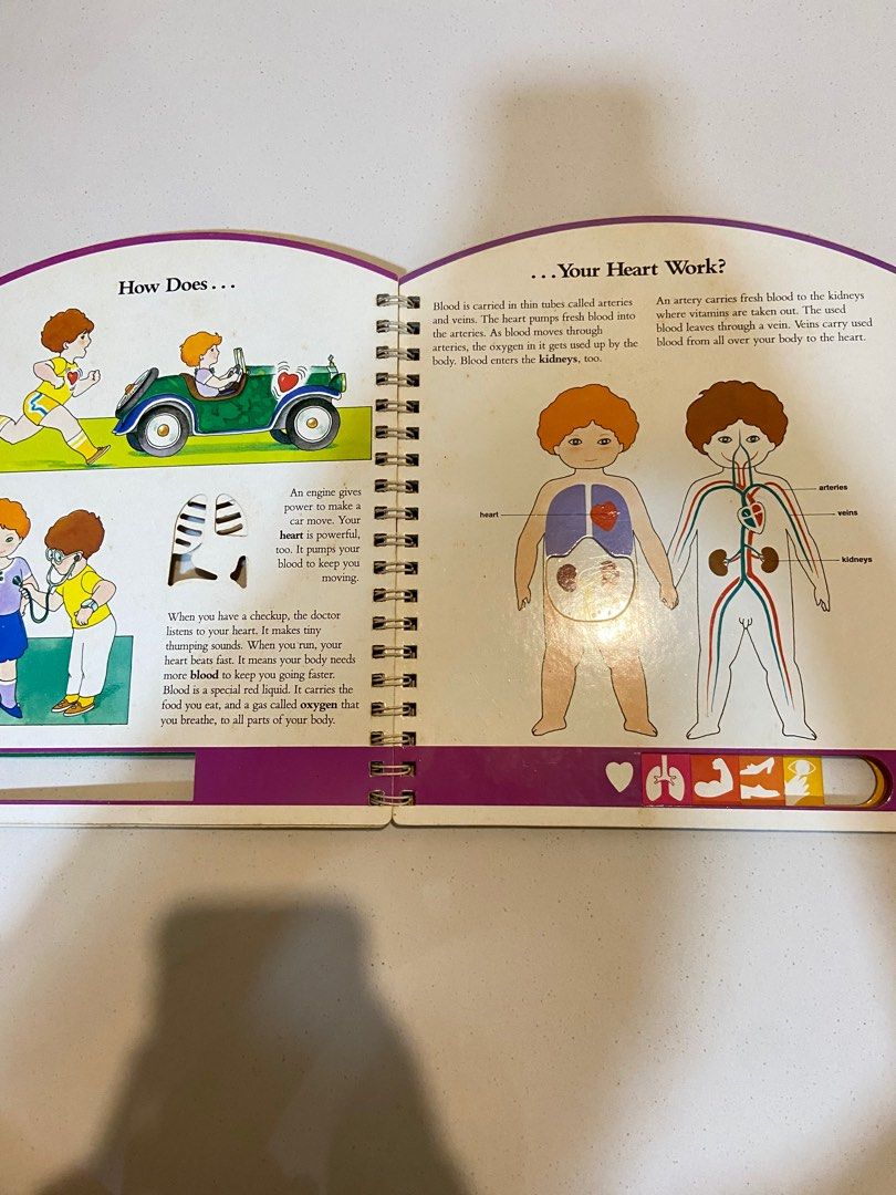 Look inside my Body interactive book, Hobbies & Toys, Books & Magazines ...
