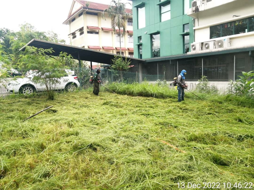 Potong pokok rumput, Services, Home Services, Others on Carousell