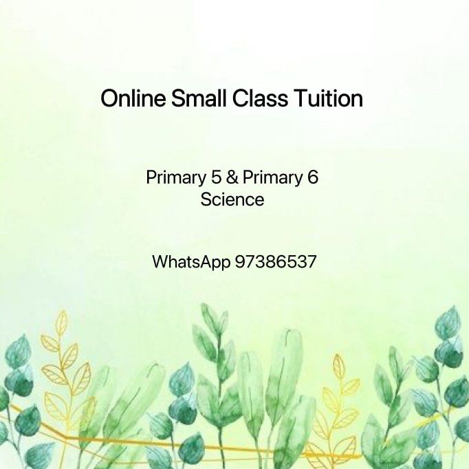 Primary 5 & Primary 6 Science Tuition / P5 Sci / P6 Sci Enrichment ...