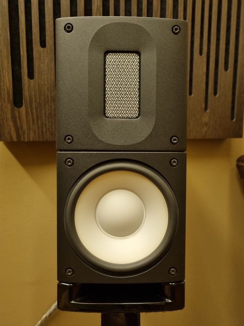 Raidho X-1 speakers, Audio, Soundbars, Speakers & Amplifiers on Carousell