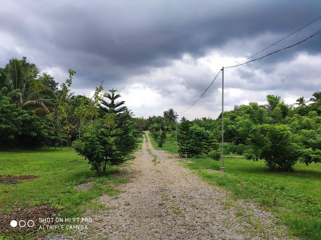 Amadeo Residential Farm Lot, Property, For Sale, Lot on Carousell