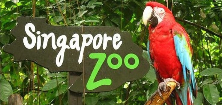 Singapore Zoo + River Wonders 2 park admission, Tickets & Vouchers ...