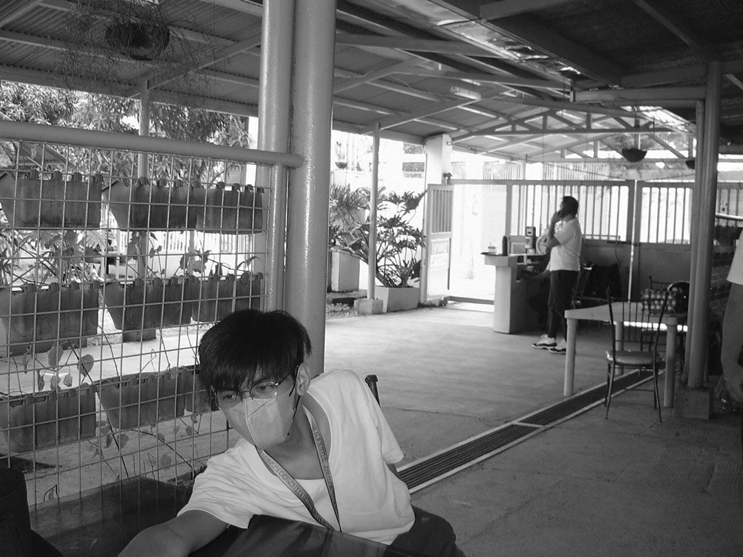 Sony Cybershot DSC P8 2000s digital camera red, Photography, Cameras on ...