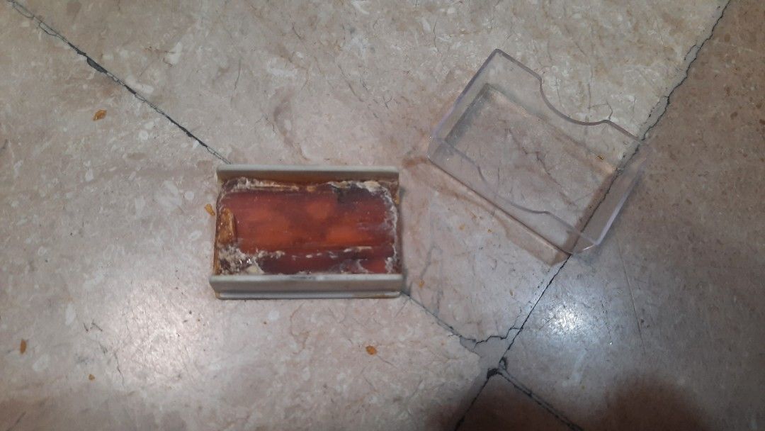 Violin Bachendorff Concert Series 4/4, Hobbies & Toys, Music & Media ...