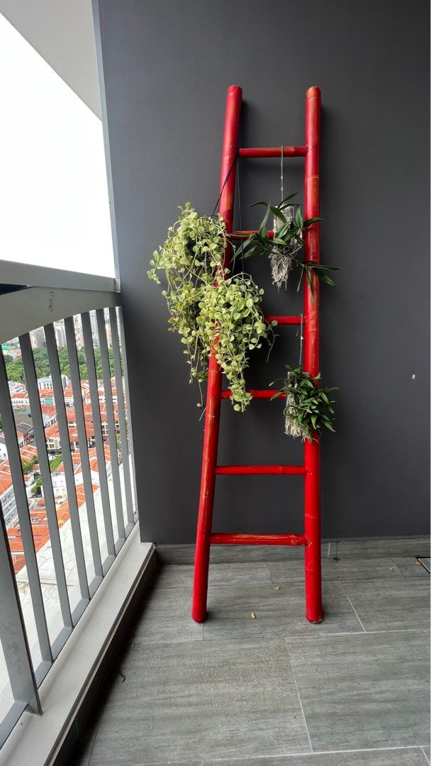 Red Bamboo Ladder for Hanging plants, Furniture & Home Living ...