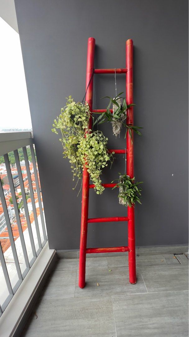Red Bamboo Ladder for Hanging plants, Furniture & Home Living ...