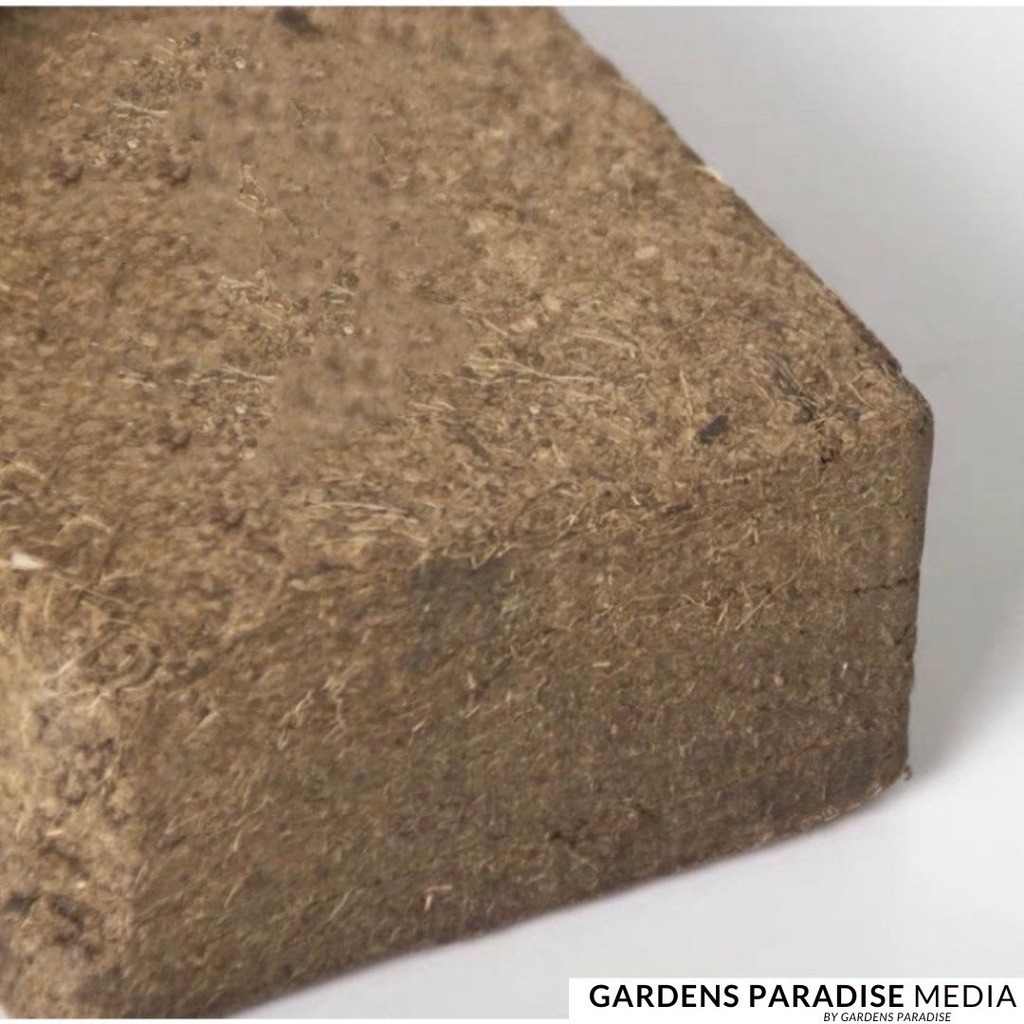 Cocopeat Expandable Block (1kg is Approx. 17 litres), Furniture & Home ...