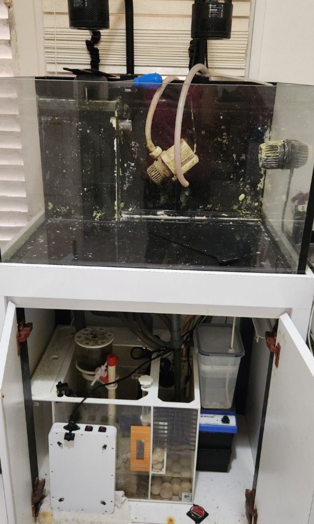 Crystal Glass Fish Tank Set with Sump, Pet Supplies, Homes & Other Pet ...