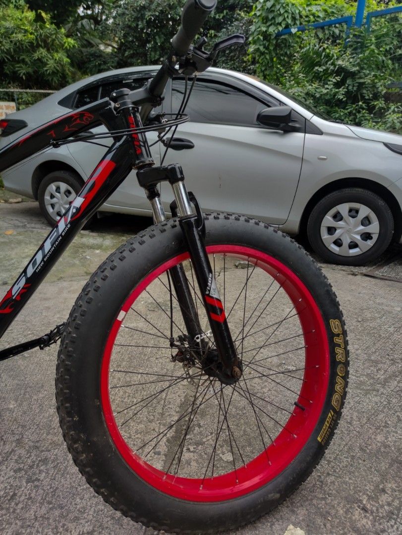 FAT BIKE - SOFIA BRAND, Sports Equipment, Bicycles & Parts, Bicycles on Carousell