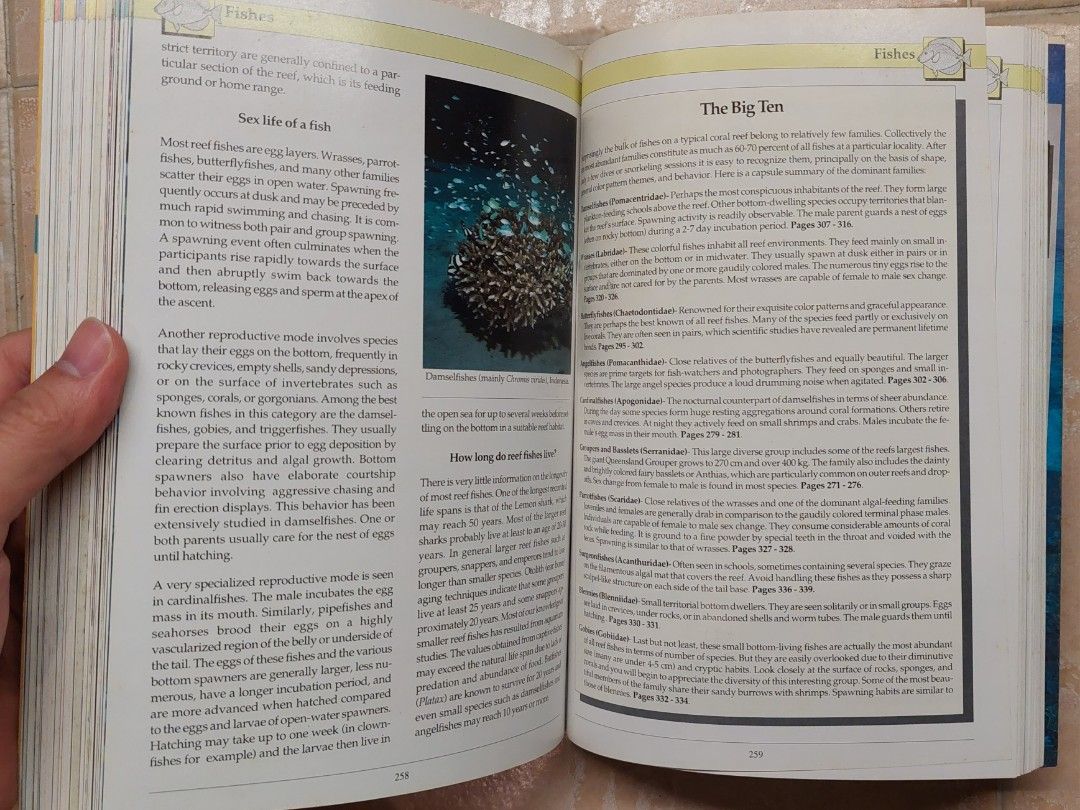 Indo Pacific coral reef field guide, Hobbies & Toys, Books & Magazines ...