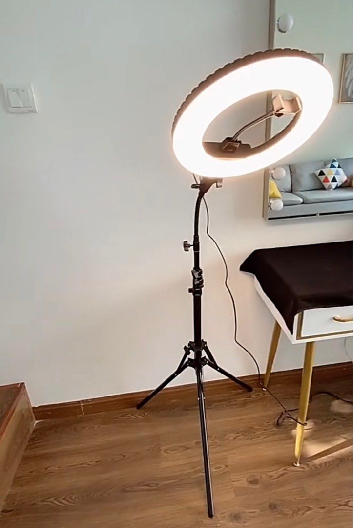Professional LED beauty ring light, Furniture & Home Living, Lighting ...