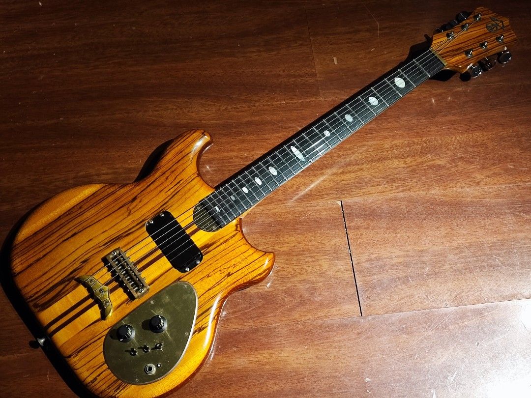 Rare 80s Alembic Distillate Guitar, Hobbies & Toys, Music & Media ...