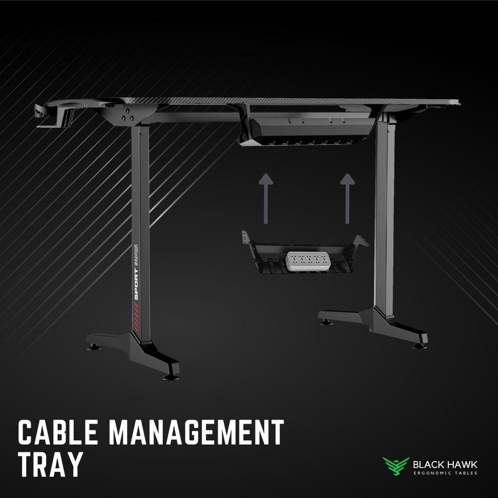 Black Hawk RGB Gaming Desk / Gaming Desk / Gaming Table / Computer ...