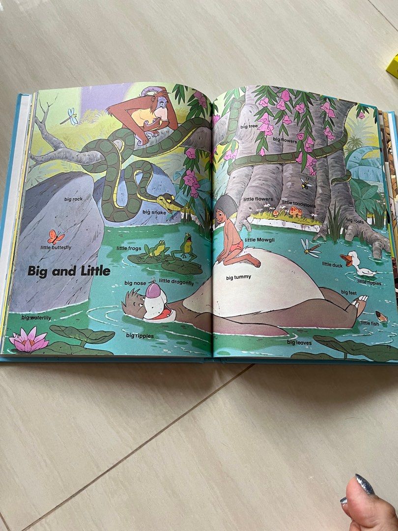 Grolier Disney Words - Full set of 4 hardcover full coloured books ...