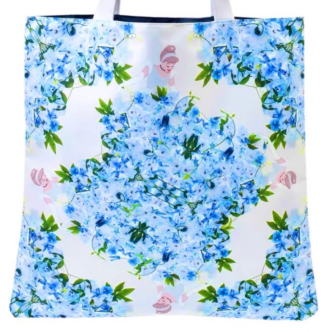 Limited Collaboration Disney ARTIST by nicolai bergmann Princess ...