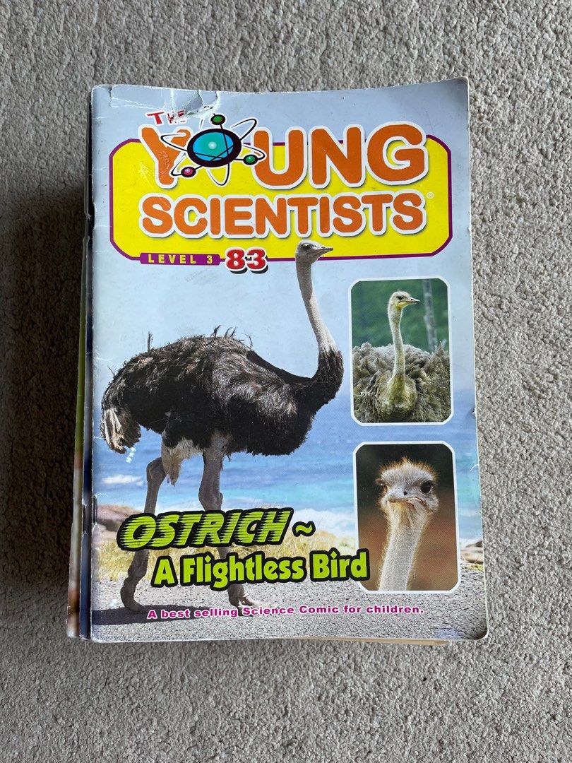 21 lvl 3 young scientist magazines, Hobbies & Toys, Books & Magazines ...