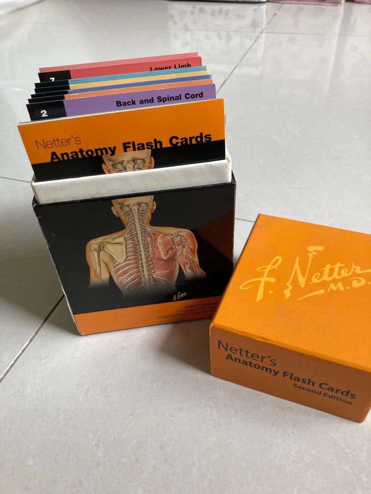 Netter’s Anatomy Flash Cards, Hobbies & Toys, Toys & Games on Carousell