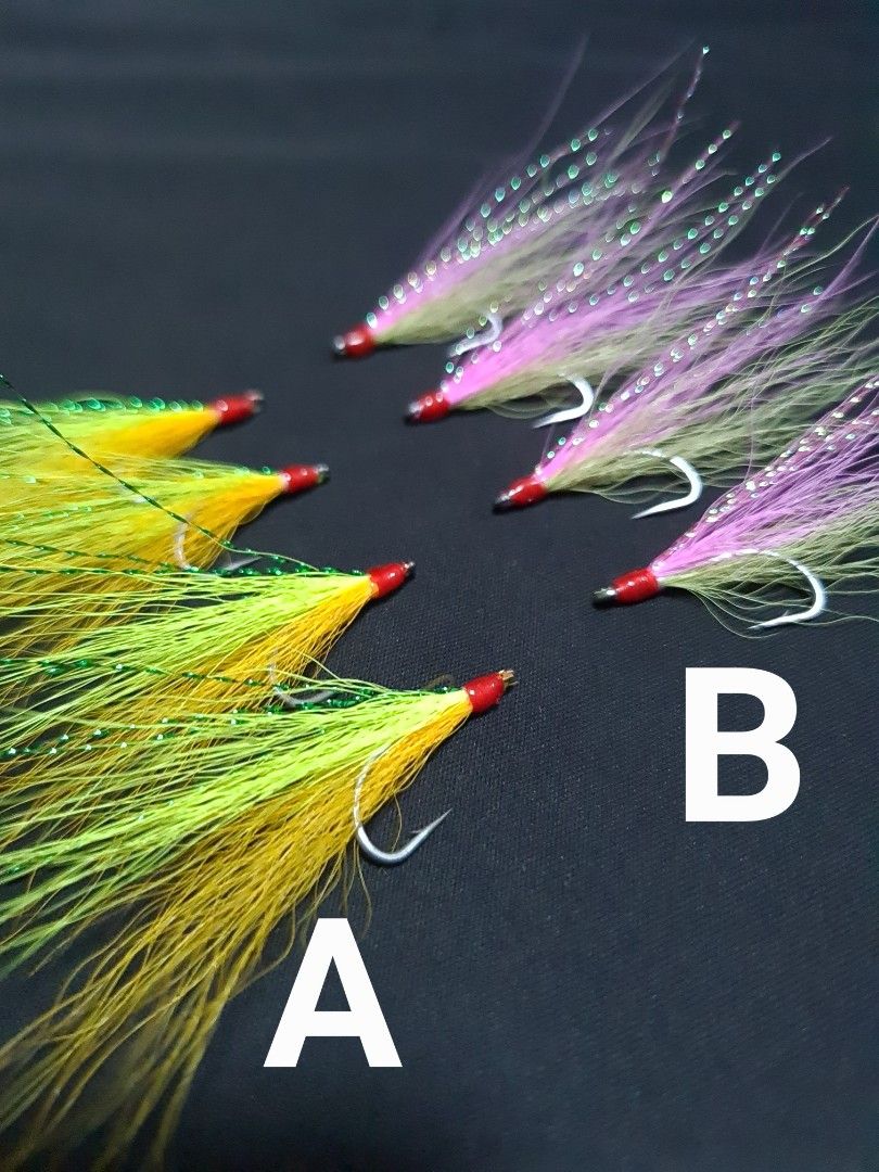 Popper fly Peacock bass lure, Sports Equipment, Fishing on Carousell