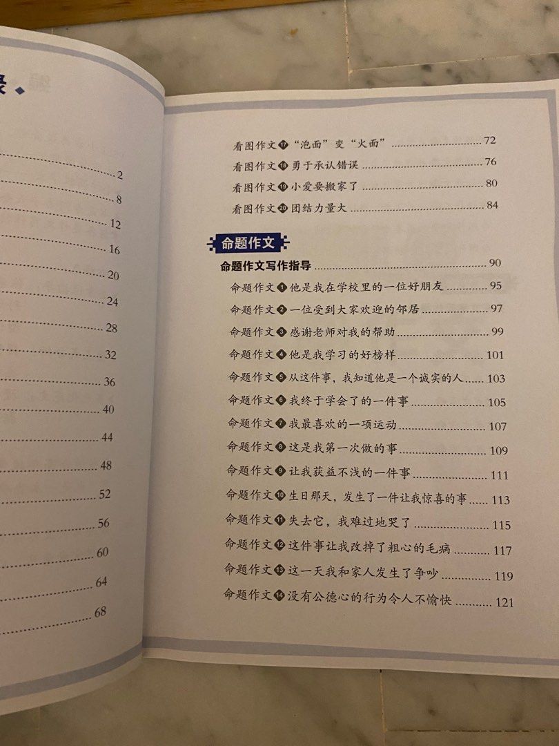 PSLE P6 Chinese Composition Guidebook, Hobbies & Toys, Books ...