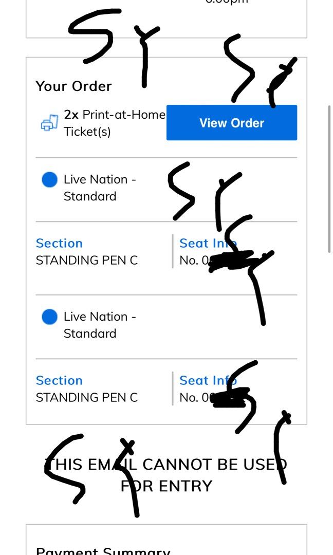 Stray Kids Cat 1 Standing Pen C Queue Number 0038xx Concert Tickets ...