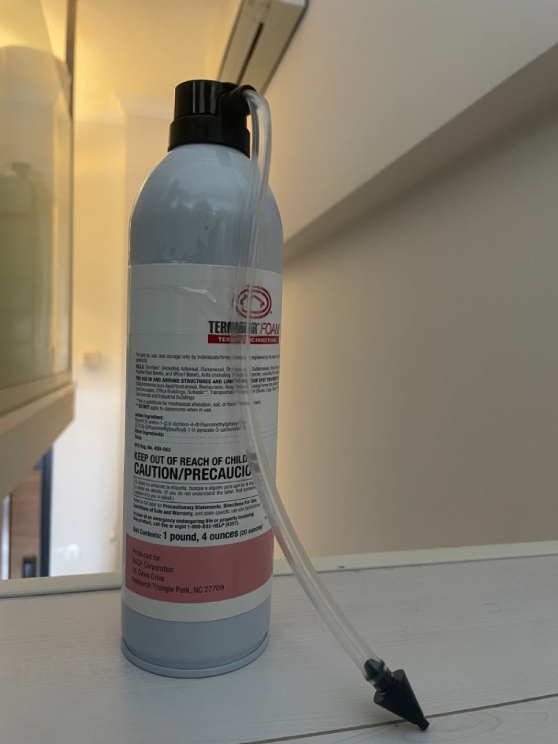 Termidor Foam Anti-Termite Spray (Termicide), Furniture & Home Living ...