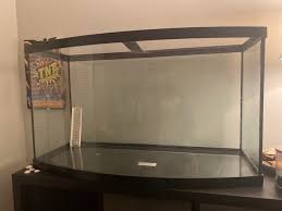 Curved Front Fish Tank, Pet Supplies, Homes & Other Pet Accessories on ...