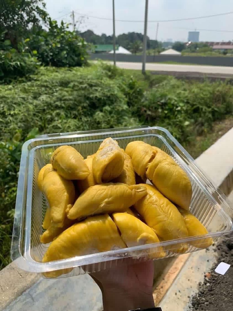 Durian raub fresh, Food & Drinks, Fresh Produce on Carousell