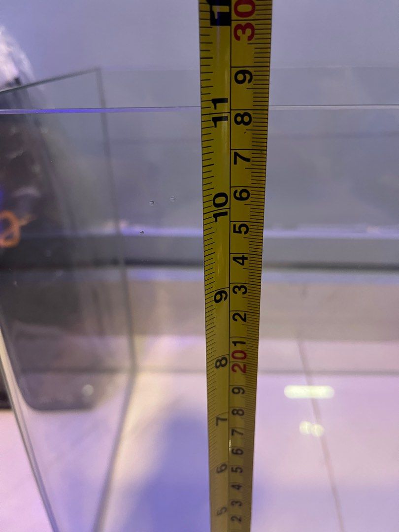 Glass fish tank curve L32xD21.5xH28, Pet Supplies, Homes & Other Pet ...