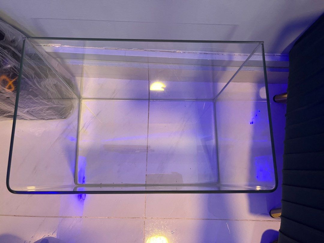 Glass fish tank curve L32xD21.5xH28, Pet Supplies, Homes & Other Pet ...