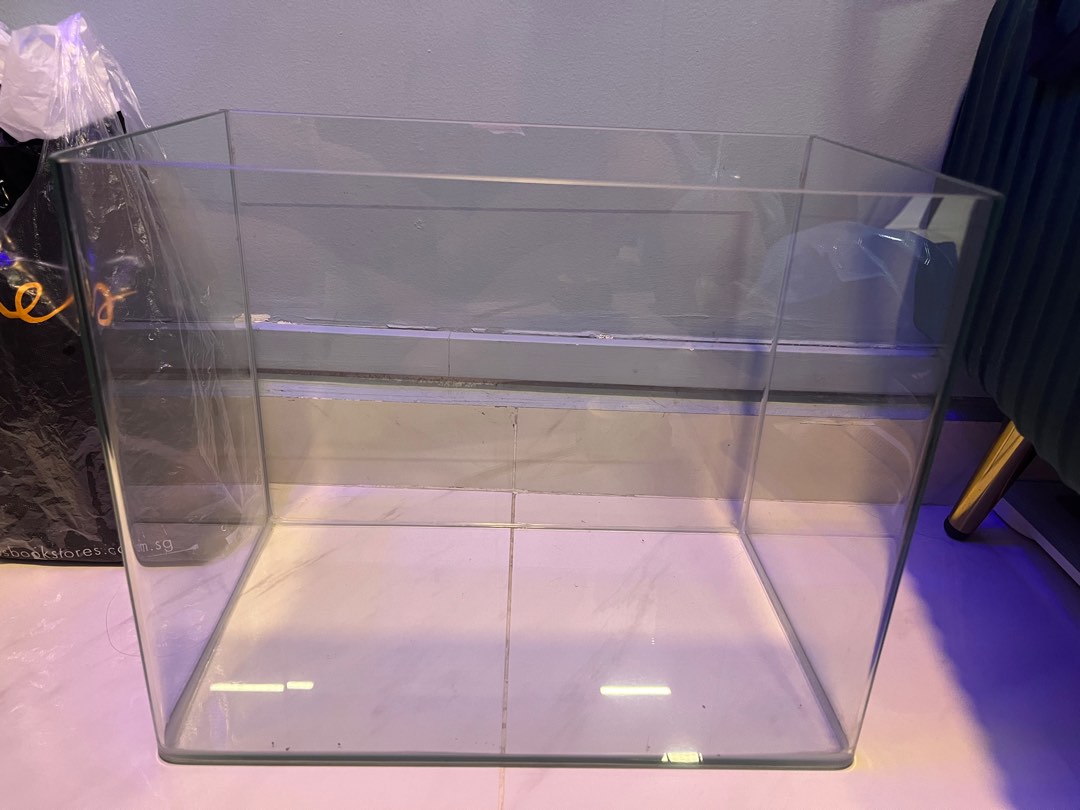 Glass fish tank curve L32xD21.5xH28, Pet Supplies, Homes & Other Pet ...