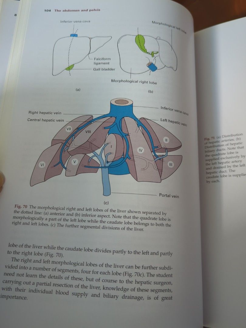 Medical textbook anatomy Ellis, Hobbies & Toys, Books & Magazines ...