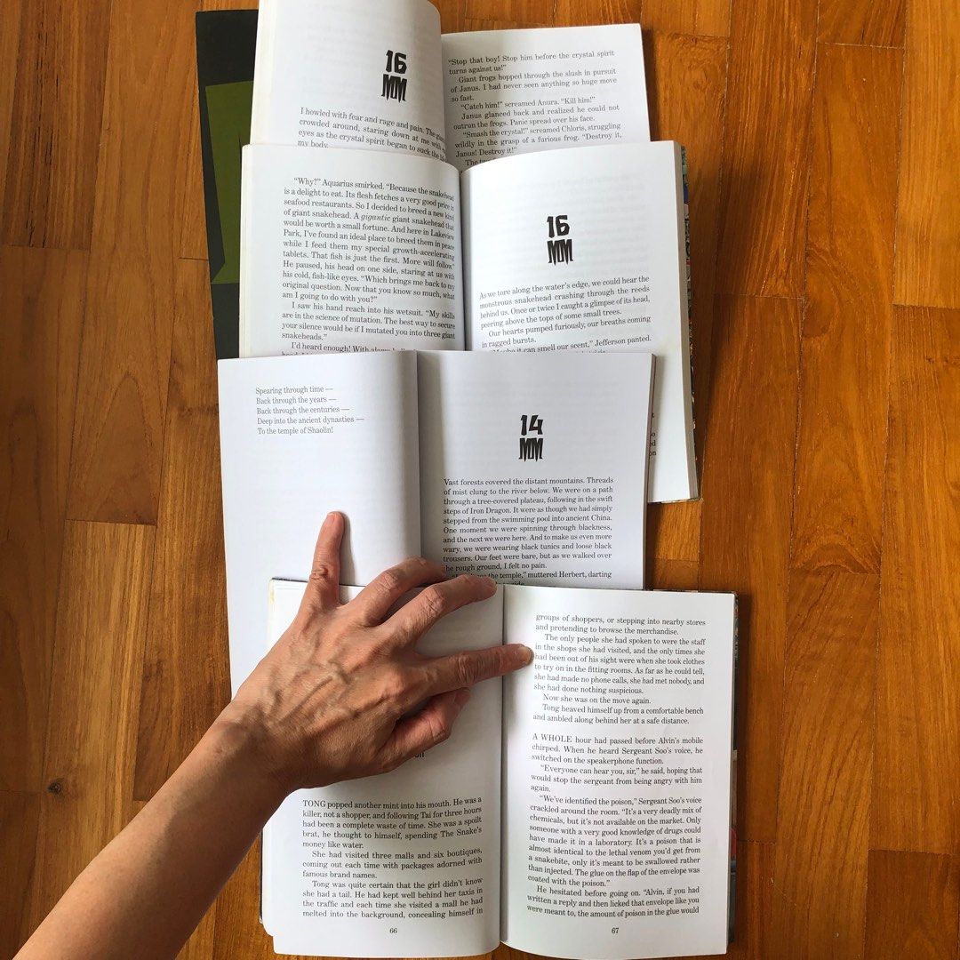 Mr Midnight Mr Mystery by James Lee English story books for young ...