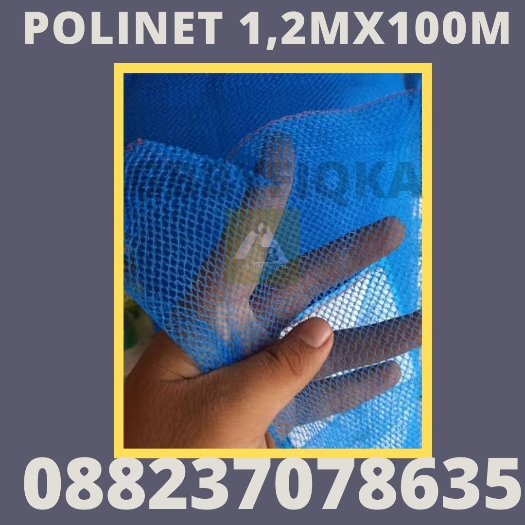 Pusat penjualan polinet buah surabaya, Produsen polinet buat surabaya ...