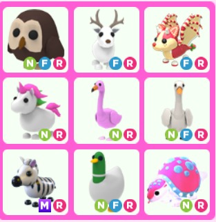 Adopt Me FLY RIDE Potions for Sale, Video Gaming, Gaming Accessories ...